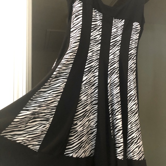 Hypnotized | Dresses | Hypnotized Zebra Print Fit Flare Dress | Poshmark